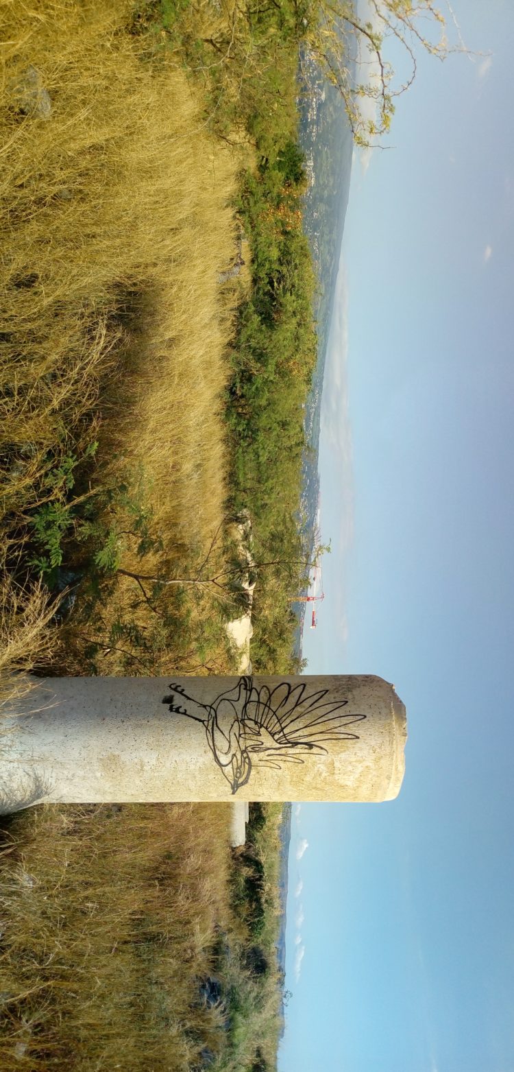 GORG ONE - ARTISTE 2020 - COLORS Urban Art